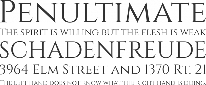 Cinzel Font Free by Natanael Gama » Font Squirrel