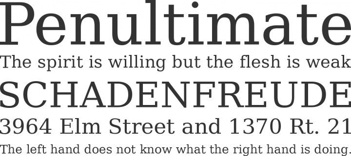 Bitstream Vera Serif Font Free by Bitstream » Font Squirrel